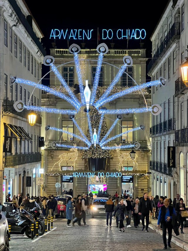 Passeio de Natal em Lisboa!