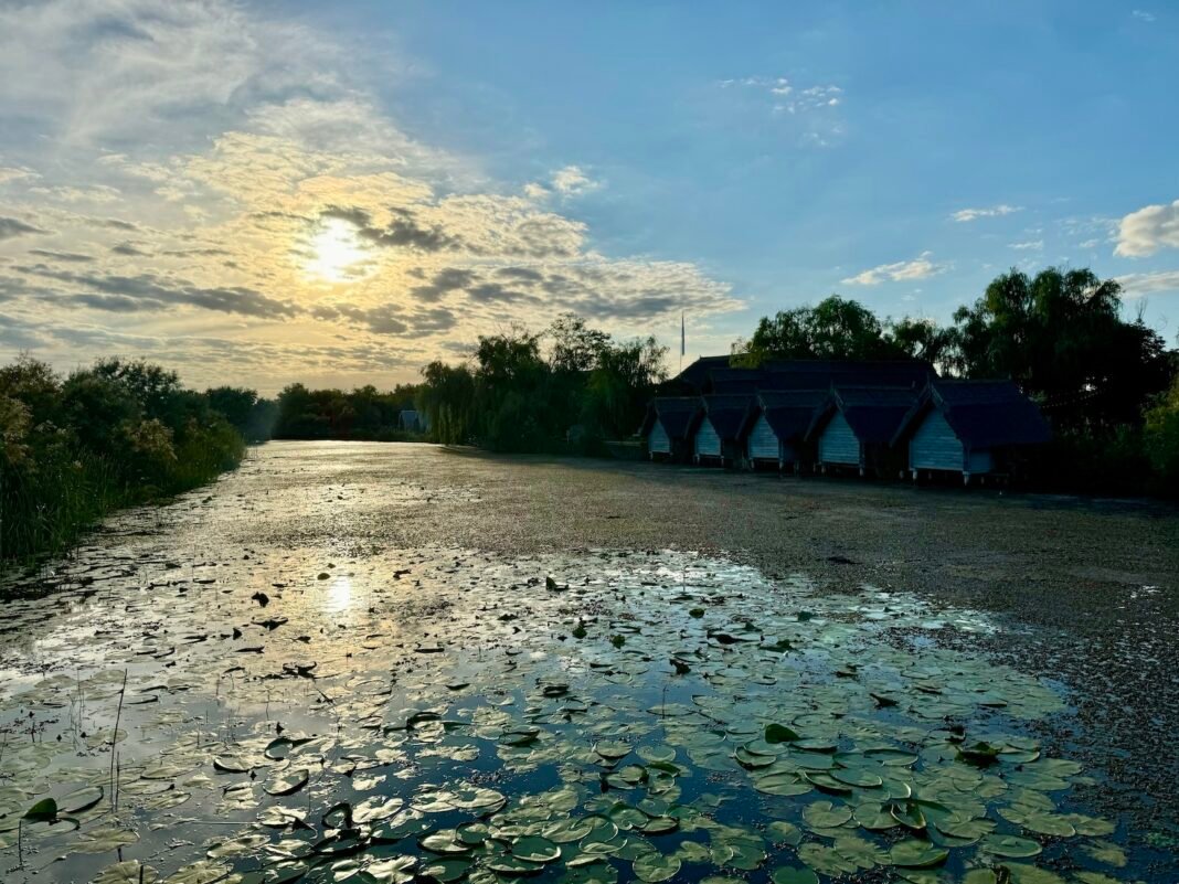 Danube Delta, na Romênia! ⋆ Luli Monteleone | Viajando com Estilo!